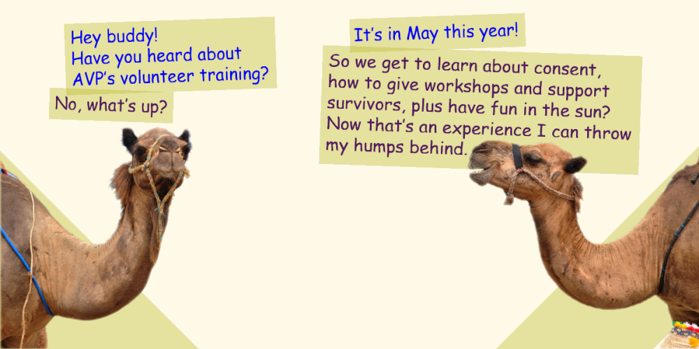 The Anti-Violence Project | AVP | ending gender based violence